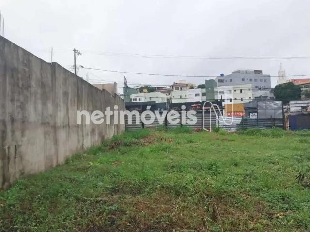 Terreno comercial para Locação em Belo Horizonte/MG Nova Floresta