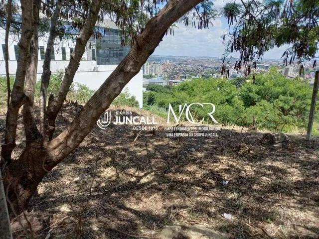 Terreno comercial para Locação em Belo Horizonte/MG Estoril