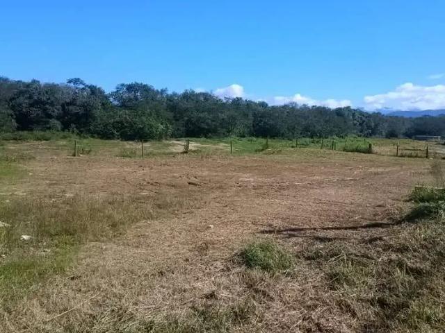 Terreno comercial para Locação em Biguaçu/SC Prado