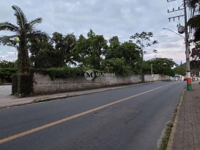 Terreno comercial para Locação em Camboriú/SC São Francisco de Assis