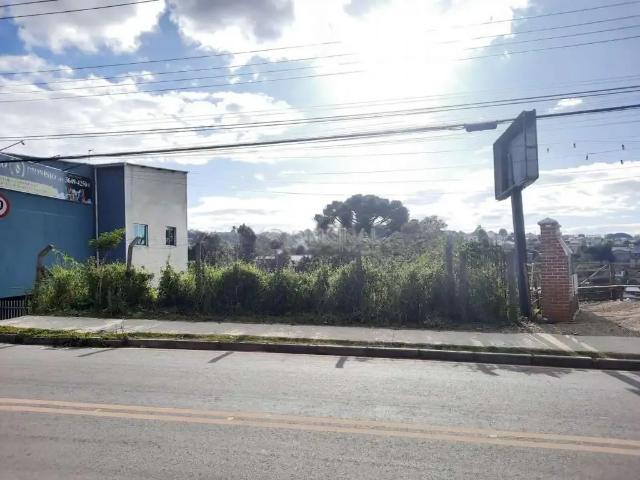 Terreno comercial para Locação em Campo Largo/PR Ferraria