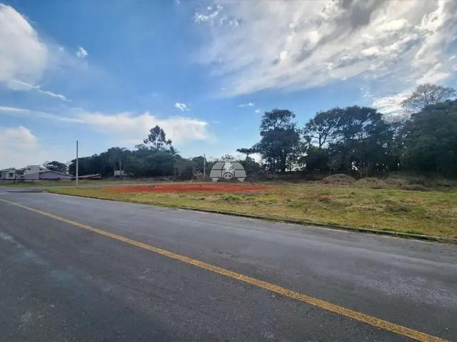 Terreno comercial para Locação em Campo Largo/PR Vila Ferrari