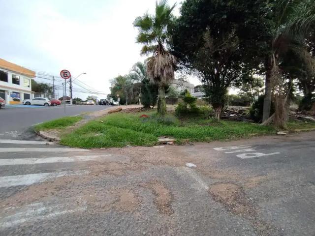 Terreno comercial para Locação em Canoas/RS Igara