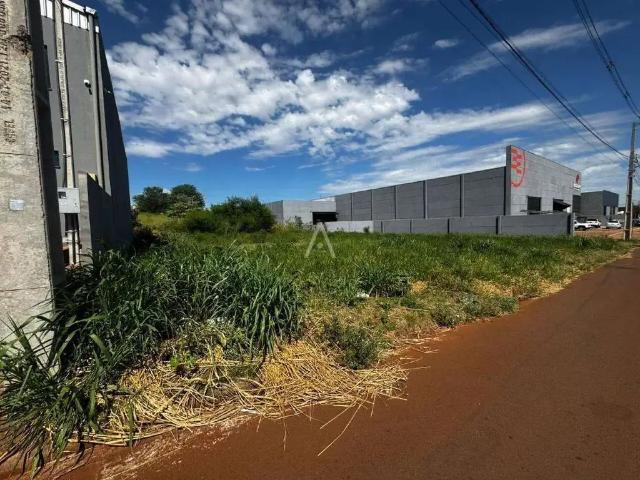 Terreno comercial para Locação em Cascavel/PR Vista Linda