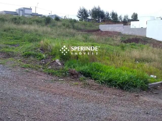 Terreno comercial para Locação em Caxias do Sul/RS São Victor COHAB