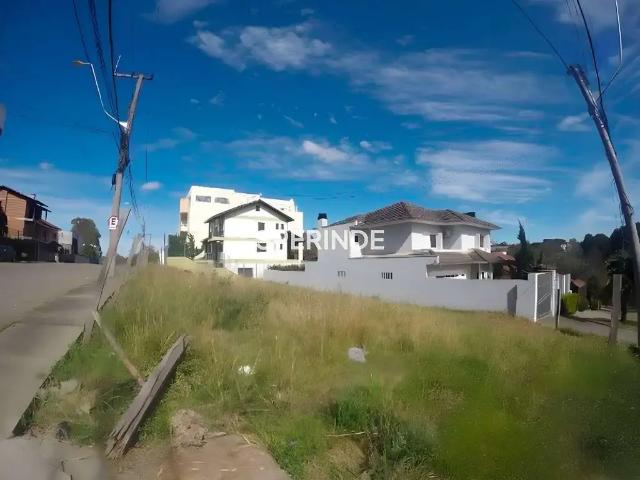 Terreno comercial para Locação em Caxias do Sul/RS Planalto