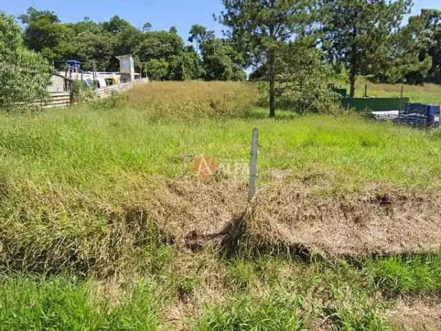 Terreno comercial para Locação em Cotia/SP Jardim Sabiá