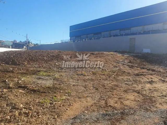 Terreno comercial para Locação em Curitiba/PR Atuba