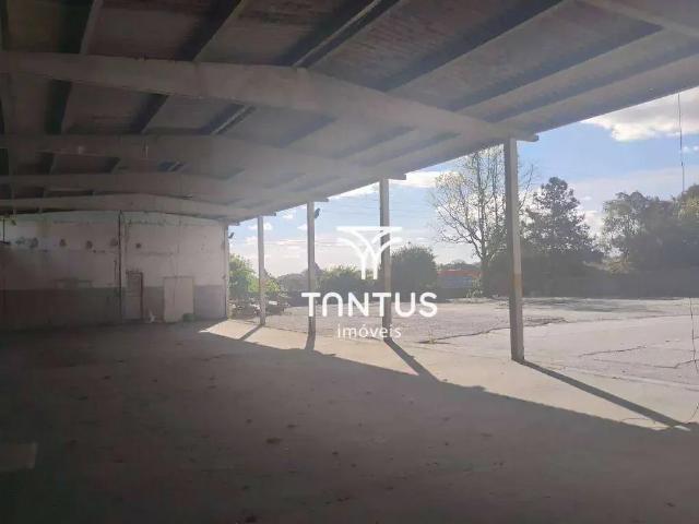 Terreno comercial para Locação em Curitiba/PR Cidade Industrial