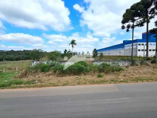 Terreno comercial para Locação em Fazenda Rio Grande/PR Estados