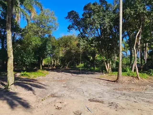 Terreno comercial para Locação em Florianópolis/SC Campeche