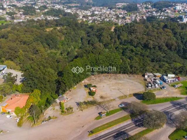Terreno comercial para Locação em Garibaldi/RS Borghetto