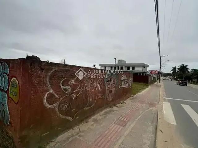 Terreno comercial para Locação em Garopaba/SC Campo Duna