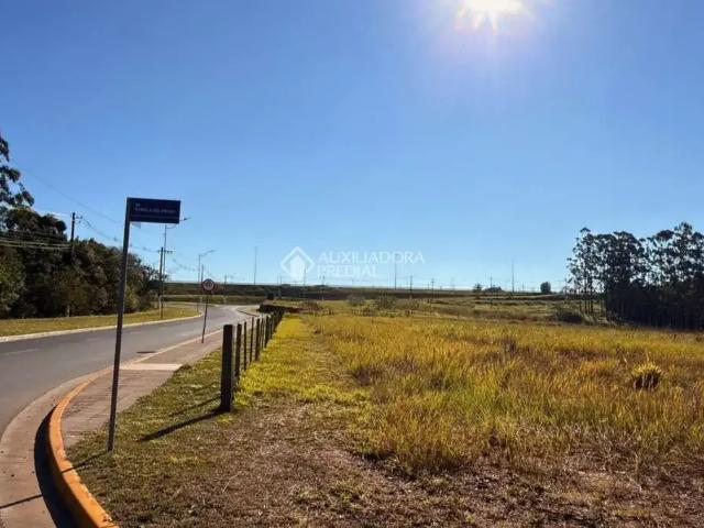 Terreno comercial para Locação em Gravataí/RS Morada Gaúcha