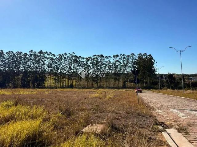 Terreno comercial para Locação em Gravataí/RS Morada Gaúcha
