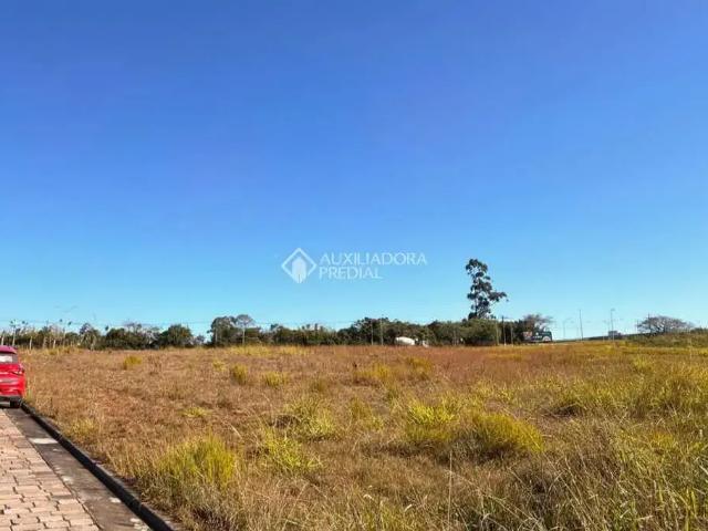 Terreno comercial para Locação em Gravataí/RS Morada Gaúcha