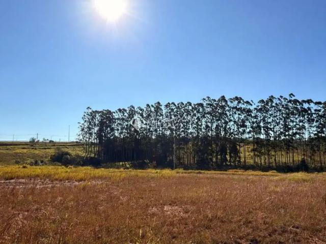 Terreno comercial para Locação em Gravataí/RS Morada Gaúcha