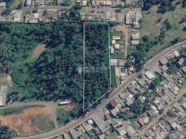 Terreno comercial para Locação em Gravataí/RS Parque Ipiranga 1 Quartos