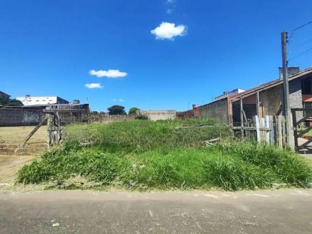 Terreno comercial para Locação em Gravataí/RS Vera Cruz