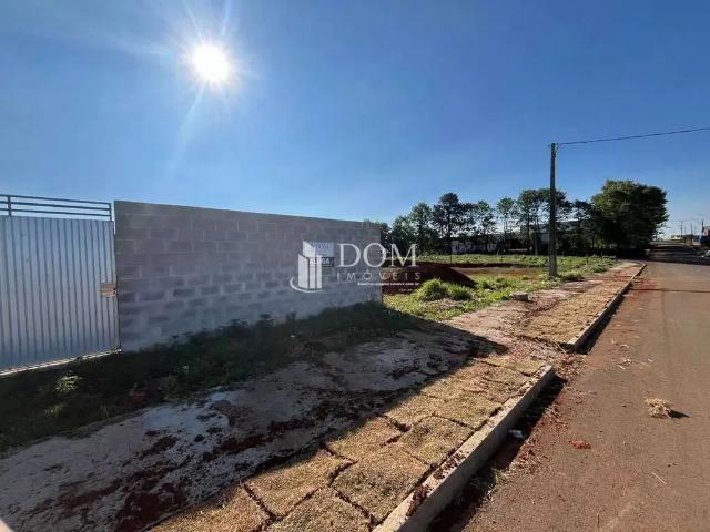 Terreno comercial para Locação em Guarapuava/PR Jardim das Américas