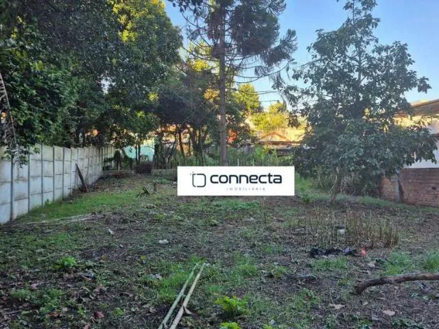 Terreno comercial para Locação em Guarulhos/SP Jardim Cocaia