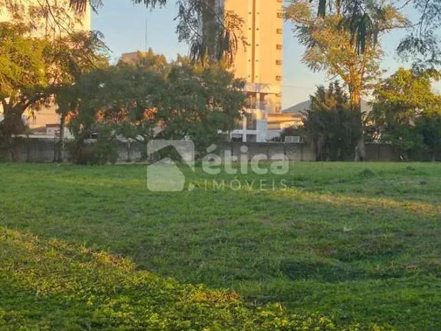 Terreno comercial para Locação em Itajaí/SC Barra do Rio