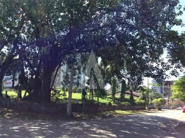 Terreno comercial para Locação em Joinville/SC Anita Garibaldi