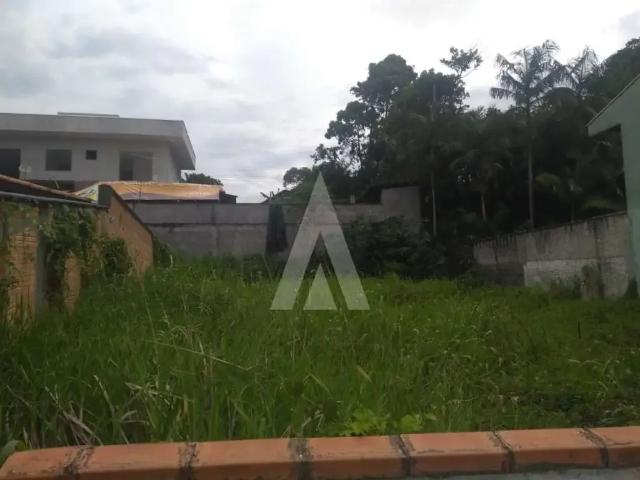 Terreno comercial para Locação em Joinville/SC João Costa