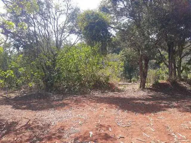 Terreno comercial para Locação em Lagoa Santa/MG Vila Maria