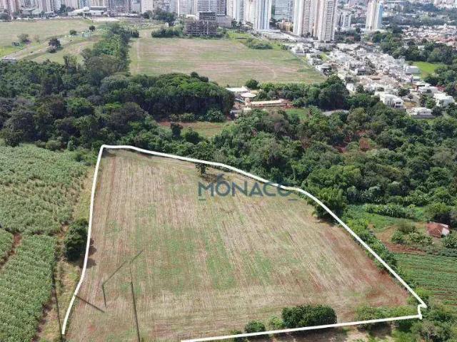 Terreno comercial para Locação em Londrina/PR Gleba Palhano