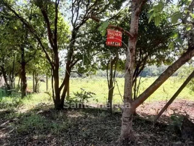 Terreno comercial para Locação em Londrina/PR Ideal