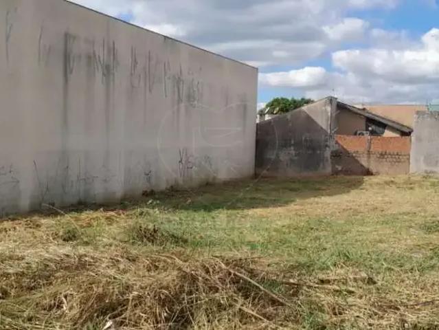 Terreno comercial para Locação em Londrina/PR Jardim Tropical