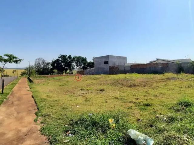Terreno comercial para Locação em Londrina/PR Jardim São Paulo II