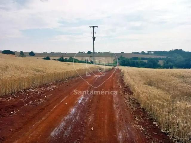 Terreno comercial para Locação em Londrina/PR Património Regina