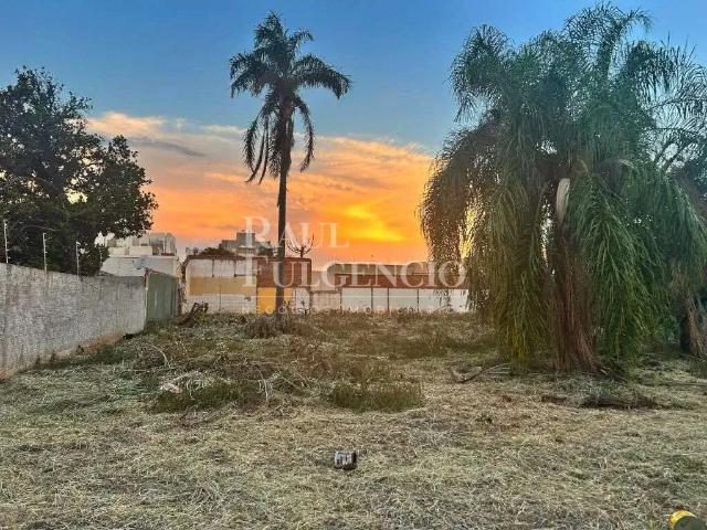 Terreno comercial para Locação em Londrina/PR Vila Ipiranga