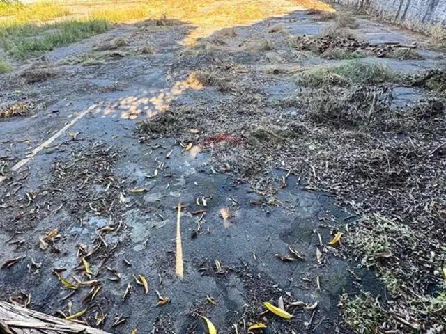 Terreno comercial para Locação em Manaus/AM Parque 10 de Novembro