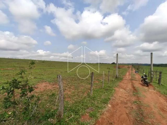 Terreno comercial para Locação em Marília/SP Centro