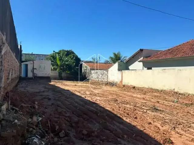 Terreno comercial para Locação em Marília/SP Alto Cafezal