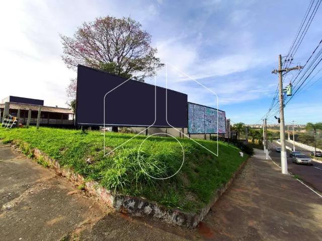 Terreno comercial para Locação em Marília/SP Barbosa