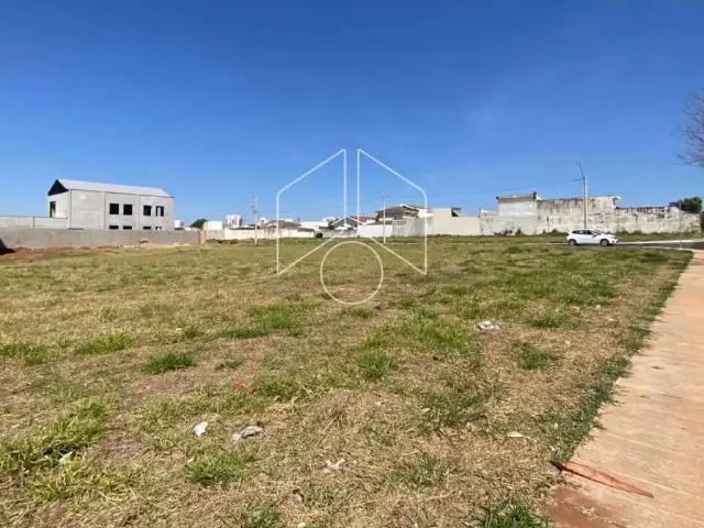 Terreno comercial para Locação em Marília/SP Jardim Maria Izabel