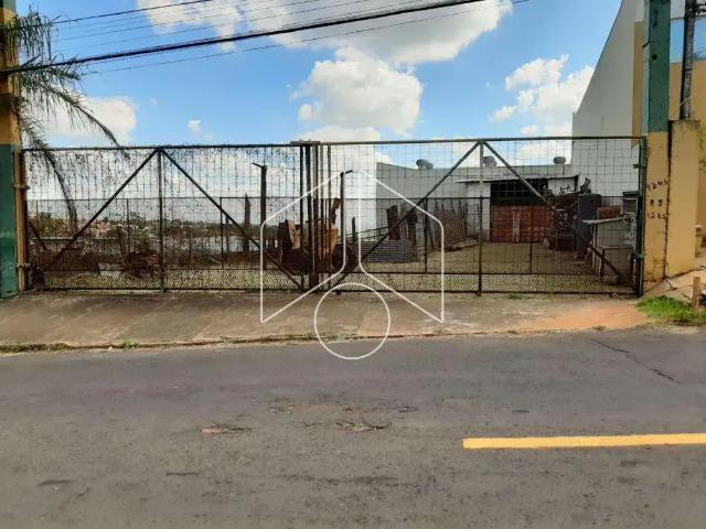 Terreno comercial para Locação em Marília/SP Jardim América