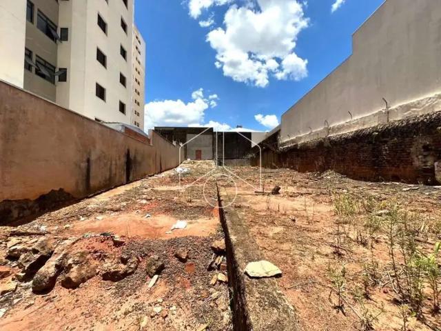 Terreno comercial para Locação em Marília/SP Montolar
