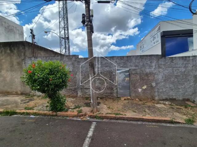 Terreno comercial para Locação em Marília/SP Somenzari