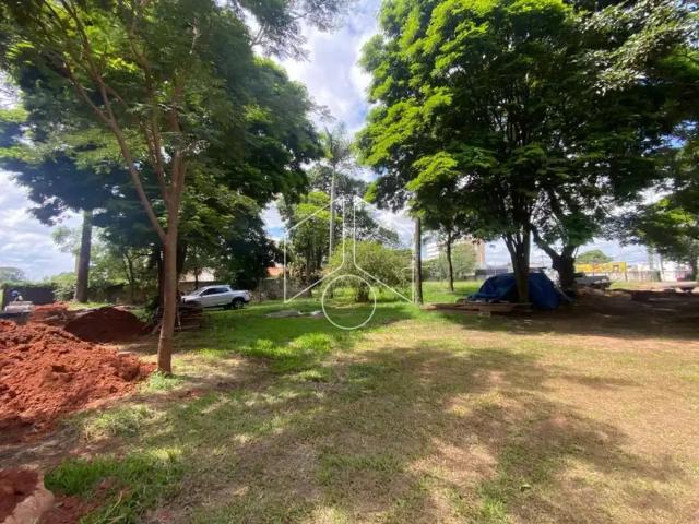 Terreno comercial para Locação em Marília/SP Parque das Indústrias