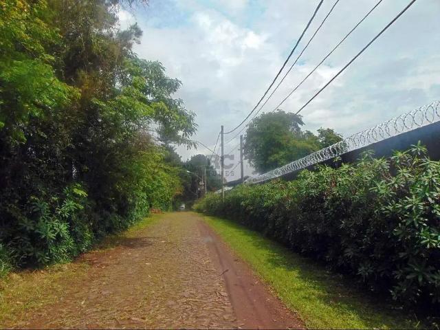 Terreno comercial para Locação em Nova Lima/MG Lagoa do Miguelão