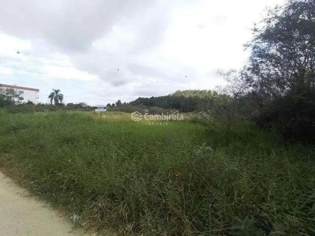 Terreno comercial para Locação em Palhoça/SC Cidade Universitária Pedra Branca