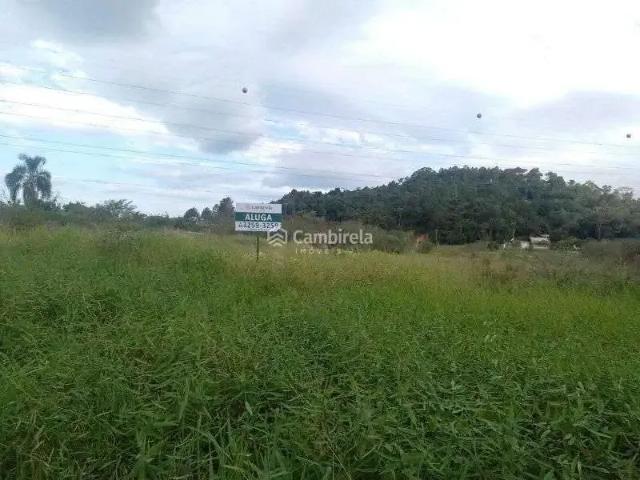 Terreno comercial para Locação em Palhoça/SC Pedra Branca