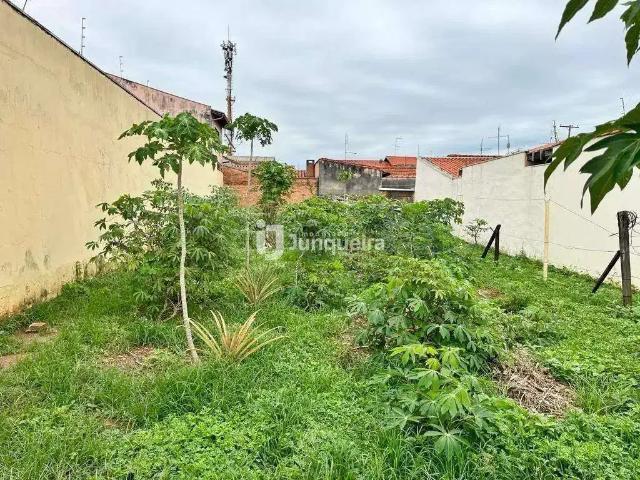 Terreno comercial para Locação em Piracicaba/SP Vila Industrial