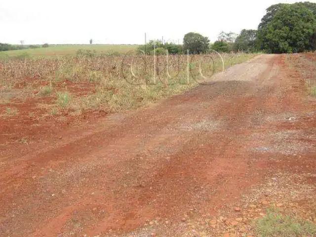 Terreno comercial para Locação em Piracicaba/SP Vila Nova