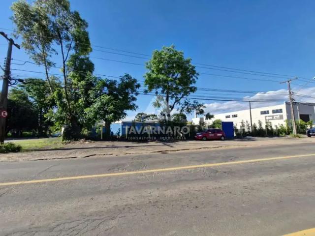 Terreno comercial para Locação em Ponta Grossa/PR Uvaranas